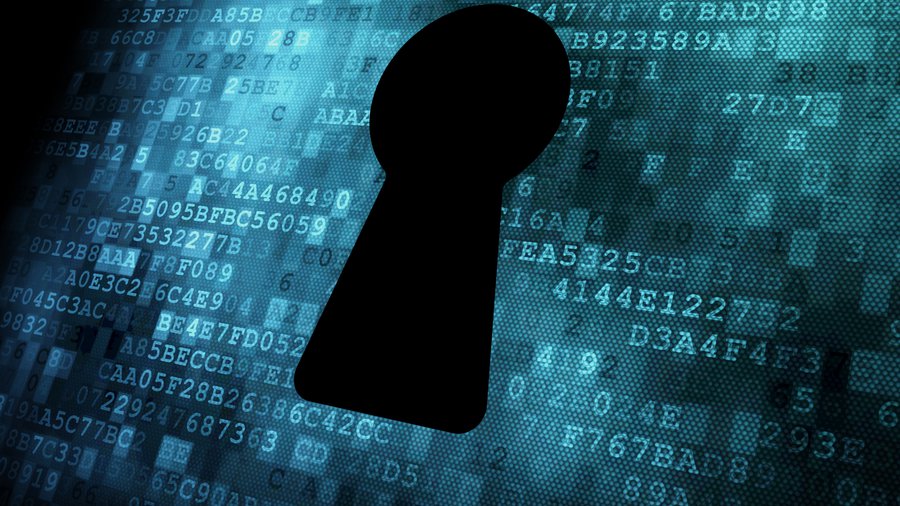 WhiteHawk pens cyber liability insurance partnership