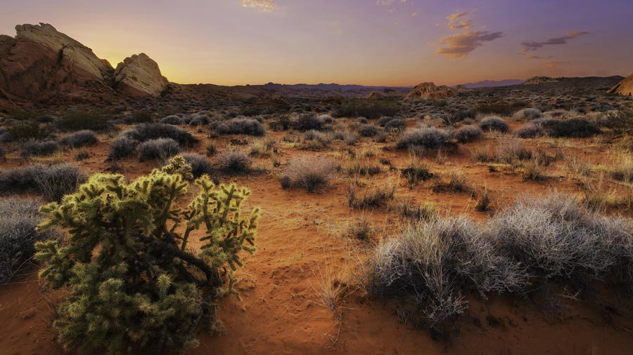 Caeneus to run the rule on lithium play