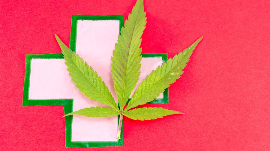 ASX pot-stock MGC Pharma mixes up first CannEpil™ batch