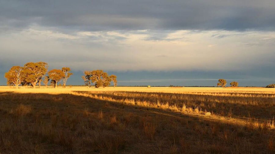 1,600% Gain Sparks Julimar Explorer Race - We Just Found the Cheapest